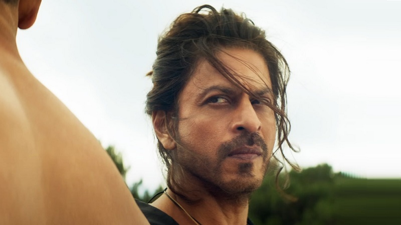 ৩ দিনে ৩১৩ কোটি আয় করল 'পাঠান' | BD24Live.com